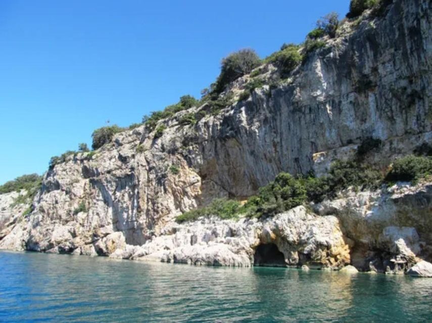 5,5h Plavnik Island: Swim & Snorkel with Capt. Bobo(Private) - A Close Look at the Tour Experience