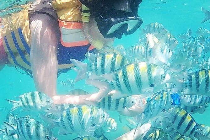 5D/4N (Hostel) Backpacker Lombok Tour Package - Who Is This Tour Best For?
