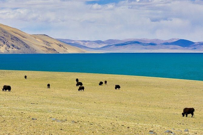 6-Day Small Group Lhasa City and Holy Lake Namtso Tour from Chongqing - Who Would Love This Tour?