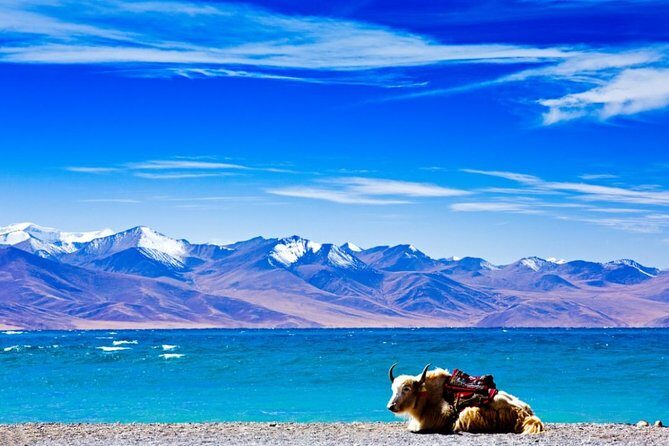 6-Day Small Group Lhasa City and Holy Lake Namtso Tour - Exploring Lhasa: A City of Spiritual Majesty and History