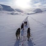 6 Day Winter Wonderland Tour in Yellowstone National Park - Practical Considerations