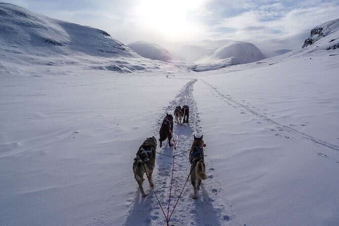 6 Day Winter Wonderland Tour in Yellowstone National Park - Practical Considerations