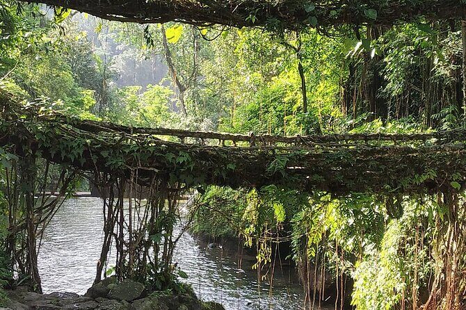 6 Days Assam & Meghalaya Tour - The Practical Side: What’s Included and What’s Not