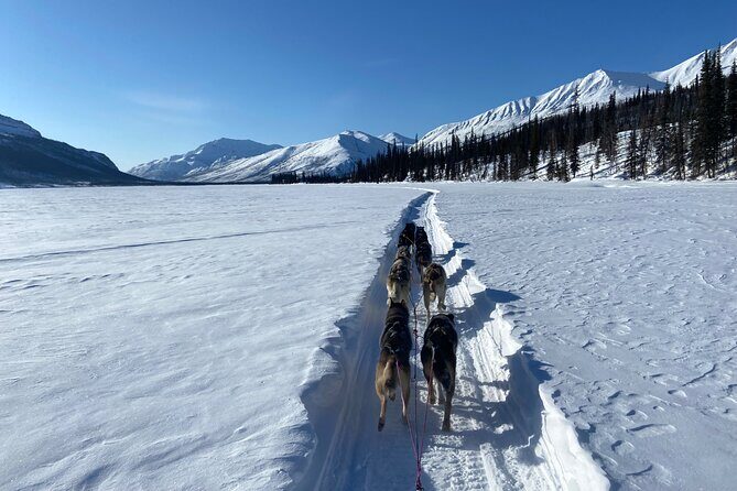 6 Days Brooks Range Expedition Private Tour - The Value of the Tour