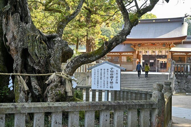 6 Hour Private E bike Tour on Omishima - The Practicalities: What You Need to Know