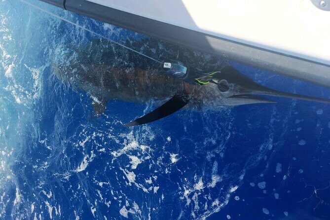 6 Hour Private Fishing Charter Kona, Hawaii - Who Should Book This Tour?