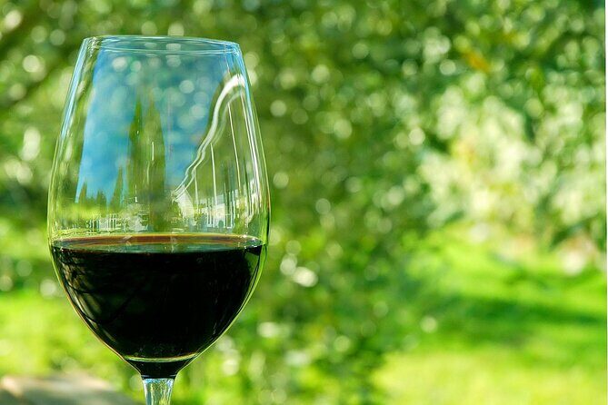 6 Hour Variety Wine Vineyard Tour in Napa Valley - FAQ