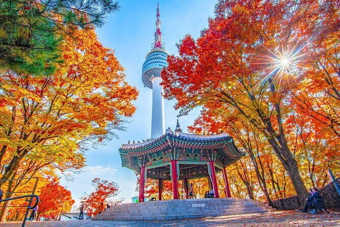 7 days Flexible Tour for Major Cities(Seoul,Busan,Gyeongju) - Why This Tour Offers Real Value