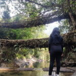 7 days kaziranga meghalaya tour package - Why This Tour Offers a Great Value