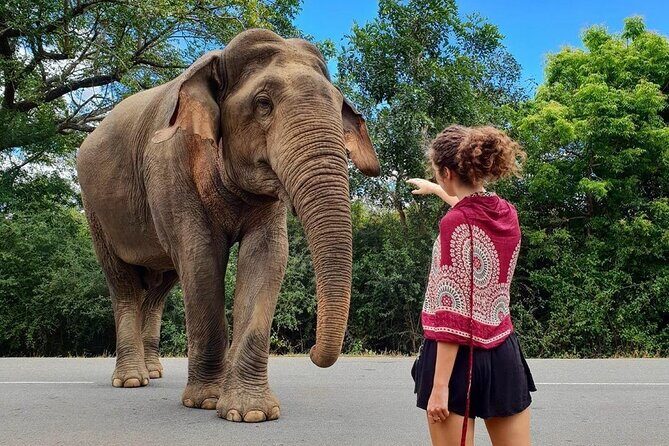 7 Days Private Guided Tour in Around Sri Lanka - Why This Tour Is a Great Choice
