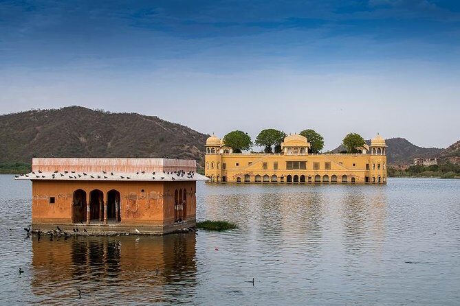 7 - Days Private Incredible Golden Triangle Tour of India - In-Depth Review of the Tour Experience