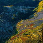 7 Days Yunnan Charming Old Town Tour - What Makes This Tour a Good Value