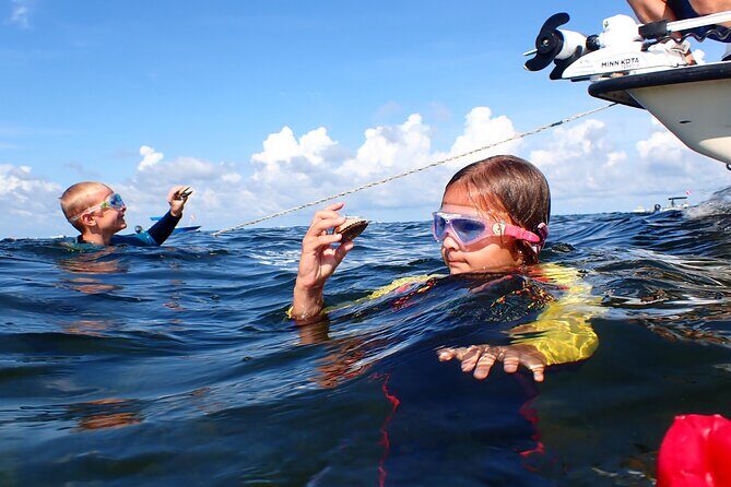 7 Hour Private Scalloping Package in Mangrove Point - Who Will Love This Tour?