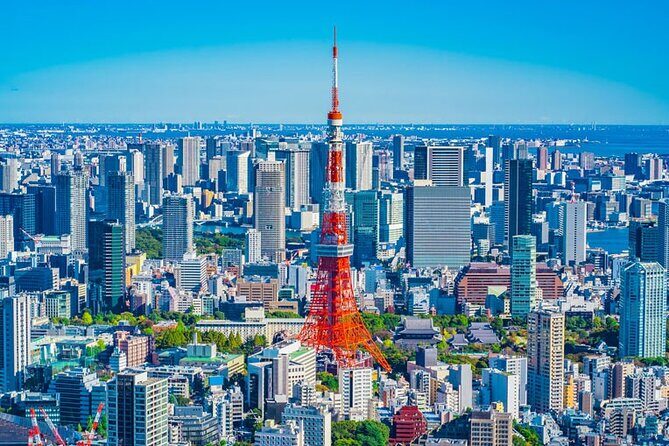 7 Hour Private Tour of Tokyo - The Experience and Its Value