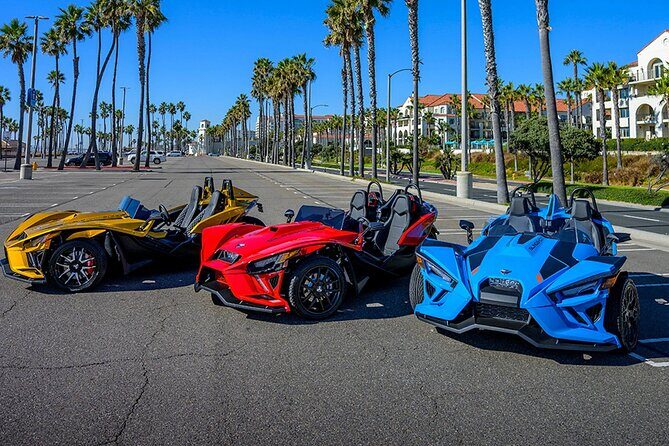 7 Magic Mountains Tour and Las Vegas sign on a Slingshot - Who Should Book This Tour?