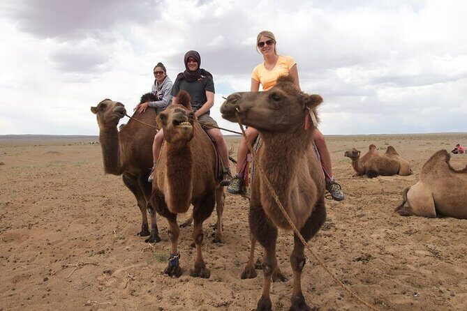 8 Day Great Gobi and Central Mongolia - Practical Details and Traveler Insights