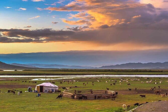 8 Day Private Tour to Ancient Capital of the Great Mongol Empire - Who Will Love This Tour?