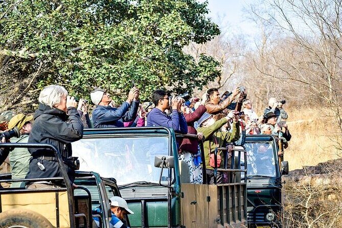 8-Day Private Transport for Golden Triangle Tour With Ranthambore - From Mughal Grandeur to Wildlife Adventure
