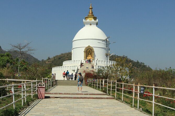8-Days Private kathmandu Chitwan and Pokhara City tour - The Wilderness of Chitwan: A Wildlife Encounter