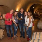 8 Hour Custom Wine Country Tour - The Experience of Transport and Service