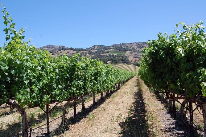 8 Hour Napa Wine Tour in a Private Limousine - Detailed Breakdown of the Itinerary