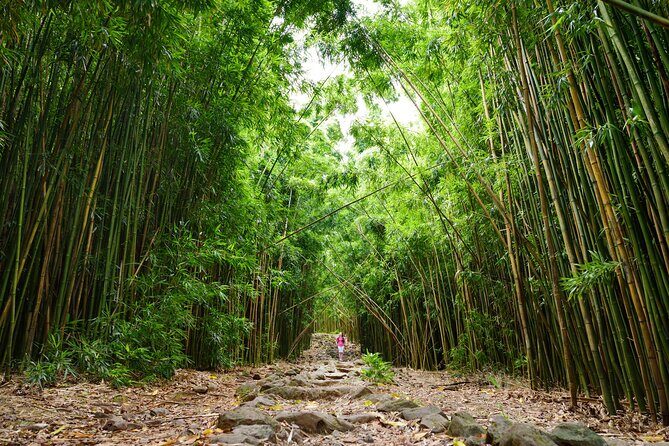 8 Hour Private Jungle Waterfall Tour from Maui - The Experience in Detail