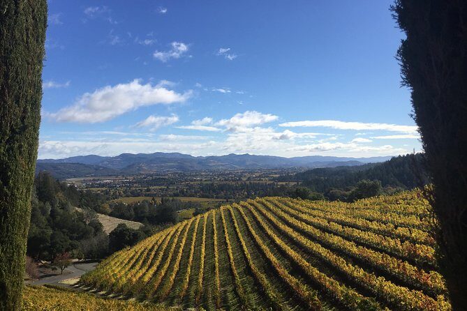 8-Hour, Private Limo Wine Tour to Napa from San Francisco - The Experience: What to Expect