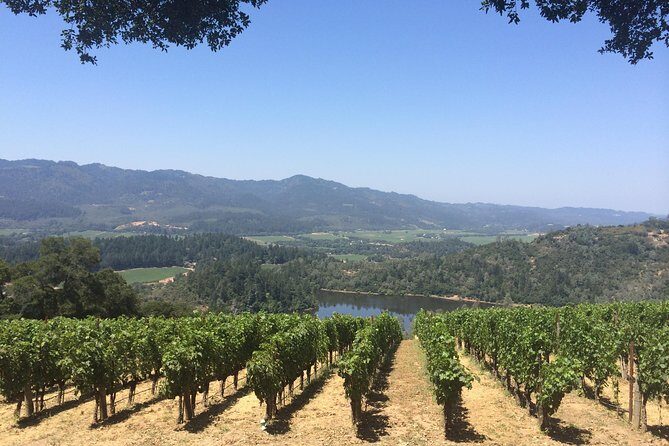 8-Hours Private Limo(up to 8 pass.) Wine Tour of Napa Valley from San Francisco - The Vehicle: Comfort and Style