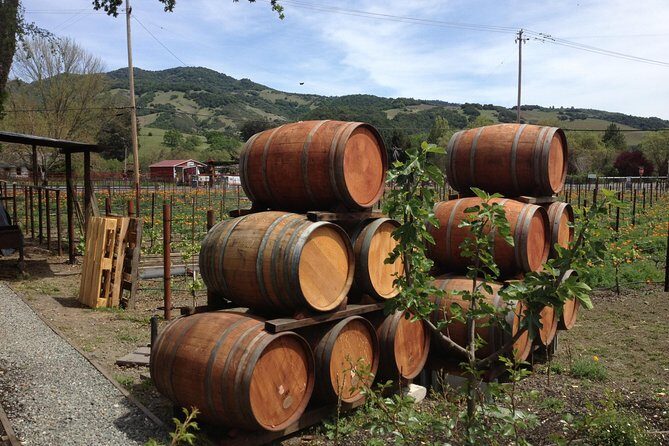 8-Hours Private SUV (up to 6 Passengers) San Francisco to Napa Valley Wine Tour - Who Will Love This Tour?