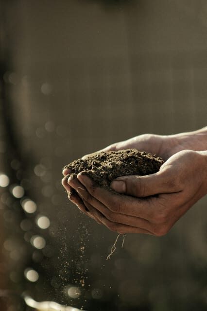 "A Day as a Farmer" Experience - The Day’s Highlights