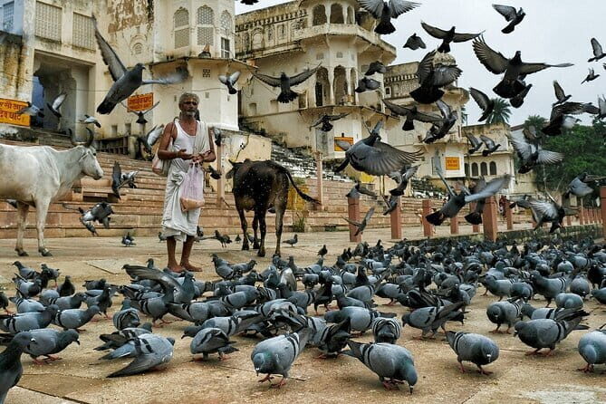 A Day Trip of Pushkar From Jaipur with Guide Service - The Itinerary Breakdown: What to Expect