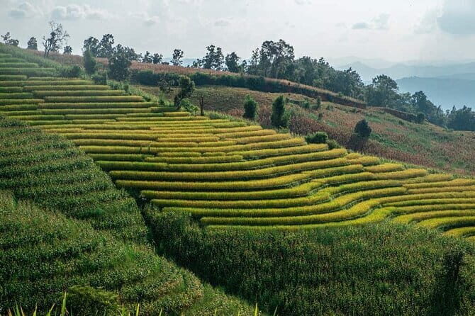 A Day Trip to Doi Inthanon Escape to Nature - Who Will Love This Tour?