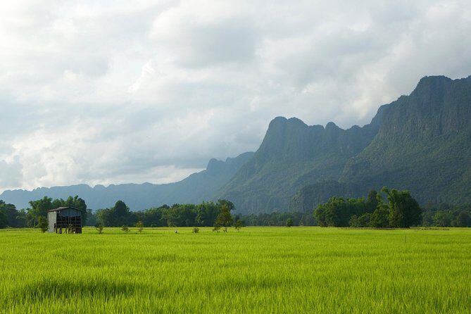 A Rice Journey in Luang Prabang - Exploring the Itinerary and What You’ll Experience