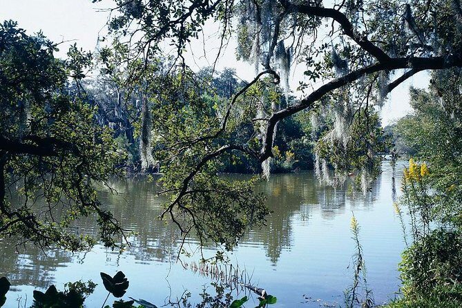 A Walk in the Park: City Park New Orleans Audio Tour - A Deep Dive into the Experience