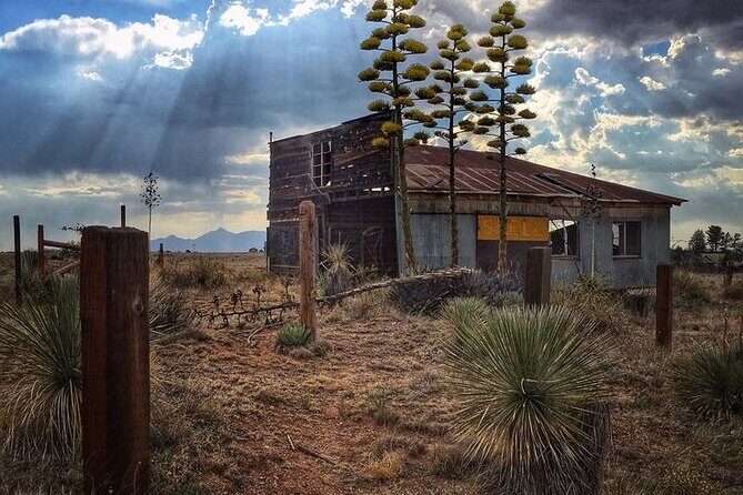 A Wine Tasting Experience in the Vineyards of the Desert - What Makes This Tour Stand Out?