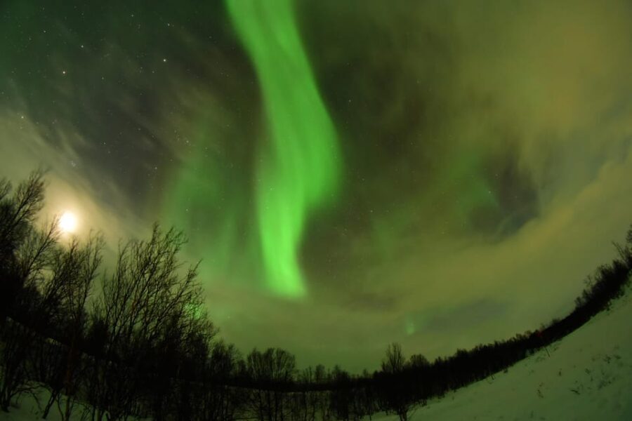 Abisko: Aurora Chasing with Snowmobiles - A Closer Look at the Abisko Snowmobile Aurora Tour