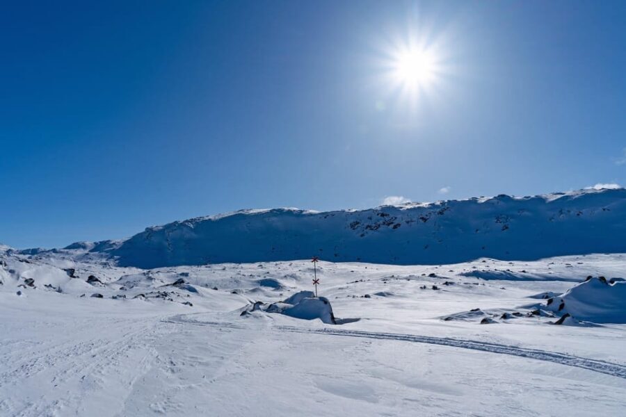 Abisko: Great Outback Snowmobile Tour with Lake Abiskojaure - Final Thoughts: Who Will Love This?