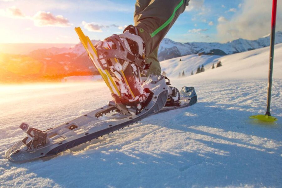 Abisko: Wilderness Snowshoe Hike - Why Choose This Snowshoe Hike?
