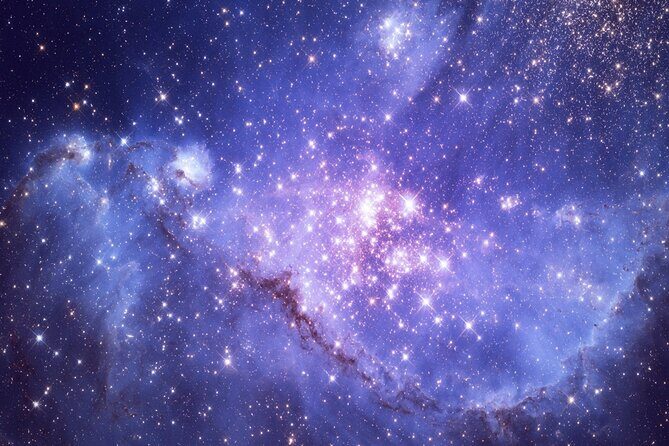 Admission to Kennedy Space Center with Transportation from Miami - The Journey: From Miami to Kennedy Space Center