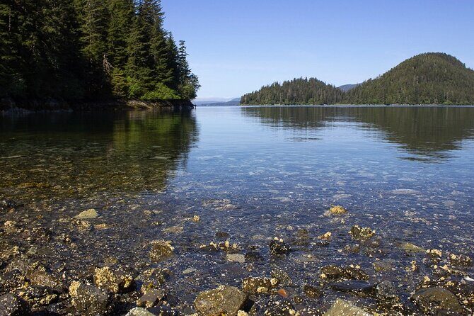 Adventure Hike | ALASKAN WILDERNESS TRAIL - The Experience and Its Value