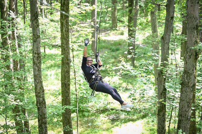 Aerial Adventure Park Admission - Challenges and Considerations
