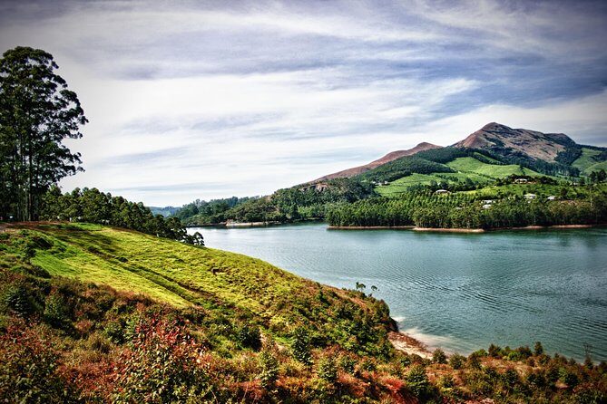 Affordable transfer from Kochi to Munnar - The Experience in Detail: From Kochi to Munnar