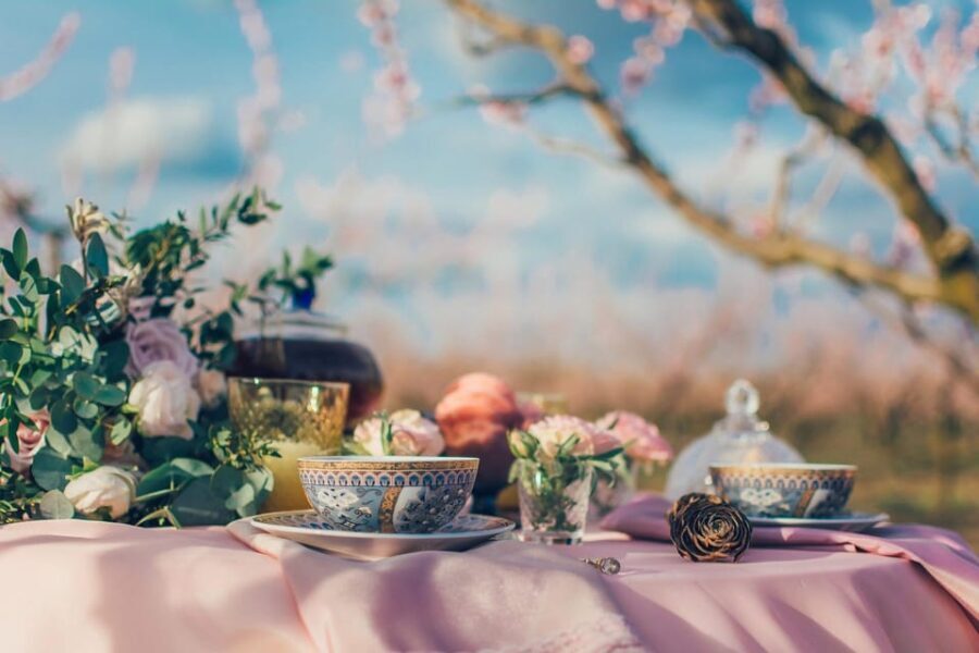 Afternoon Tea at Konopit Castle: Aristocratic Tradition - The Itinerary in Detail