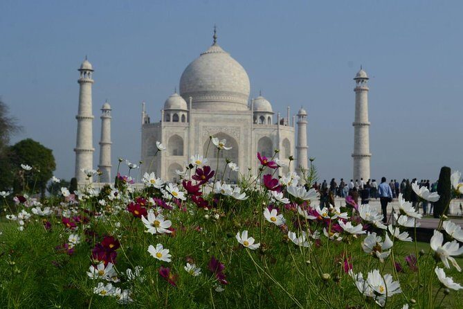 Agra on My Plate along with Taj Mahal Sunrise Tour - Analyzing the Value