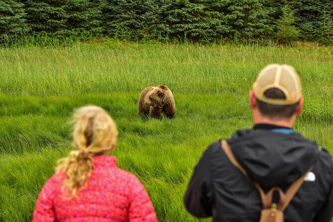 Alaska Bear Viewing Adventure from Seward - Who Should Consider This Adventure?