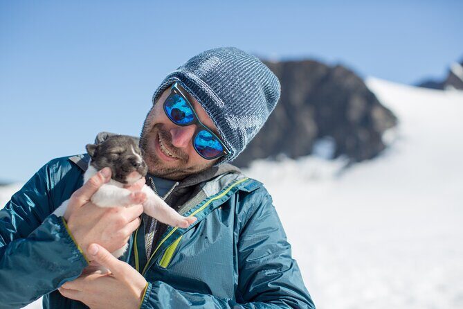 Alaska Helicopter and Glacier Dogsled Tour - SEWARD AREA - Who Should Consider This Tour?