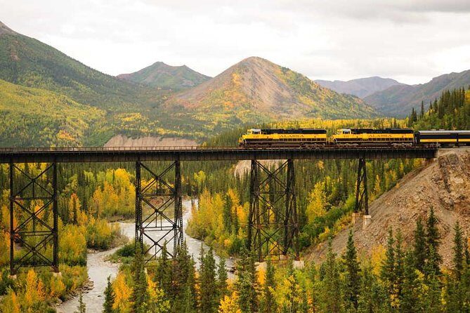 Alaska Railroad Denali to Anchorage One Way - Itinerary Breakdown and What to Expect