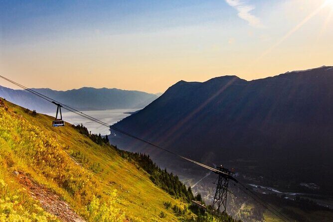 Alaska Wildlife Center and Turnagain Arm Tour w/Alyeska Tram - A Deep Dive into the Experience