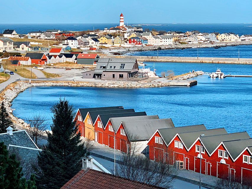 Alesund: Private Tour to the Viking Islands - Who Should Consider This Tour?