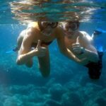 Alghero - Dolphin Watching and Guided Snorkeling (summer tour) - What to Expect During the Tour